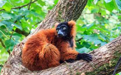 Masoala National Park – Travel Guide, Map & More!