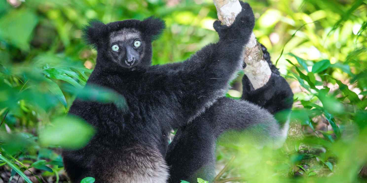 Palmarium Reserve – Best Time To Visit, Wildlife & More!