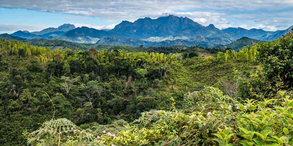 Andasibe-Mantadia National Park – Travel Guide, Map & More!