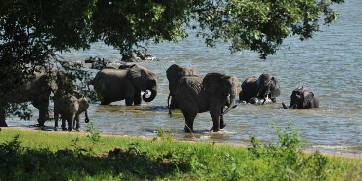 Kasungu National Park – Best Time To Visit, Wildlife & More!