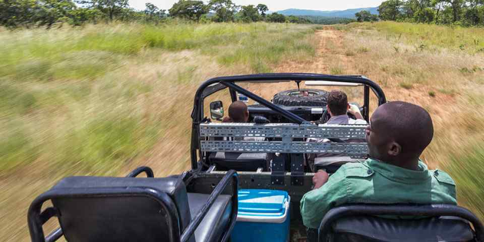 Nkhotakota Wildlife Reserve – Travel Guide, Map & More!