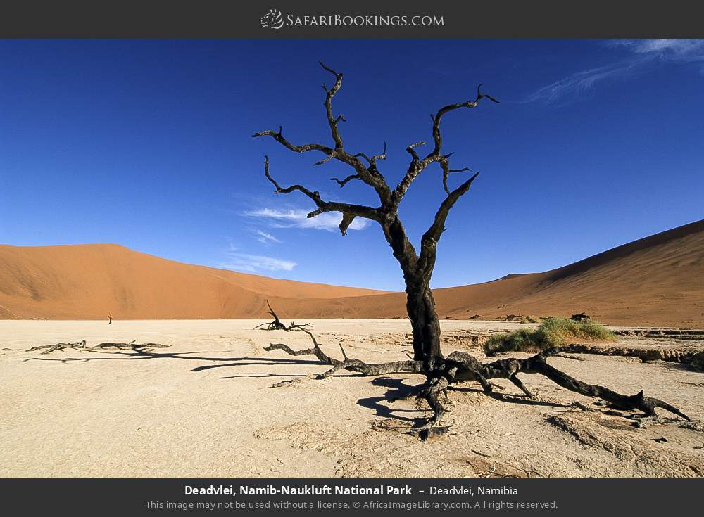 Namibia Safari: 8-Day Best of Namibia