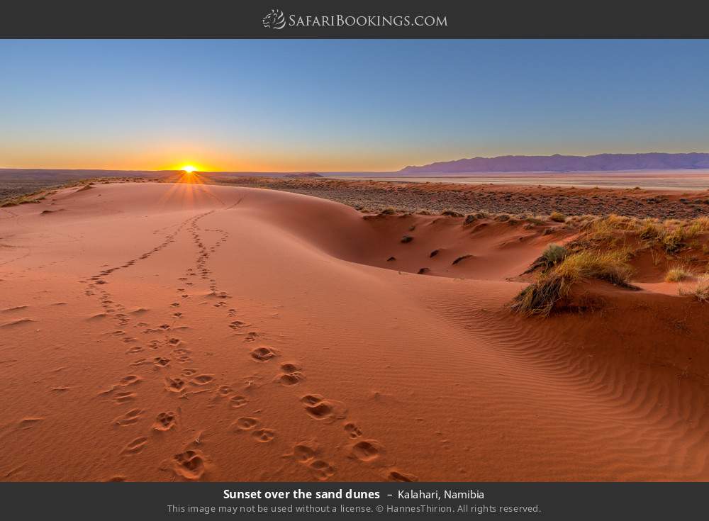 Namibia Safari: 7-Day Namibia in a Nutshell Guided Safari