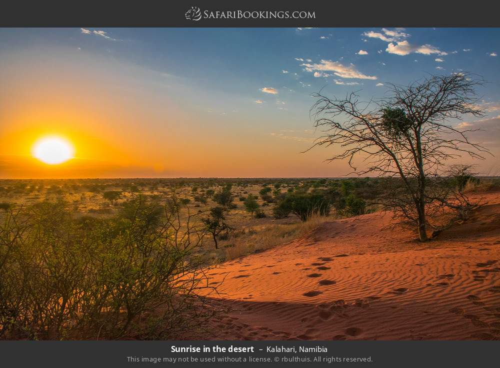 Namibia Safari: 12-Day Classic Namibia Guided Safari