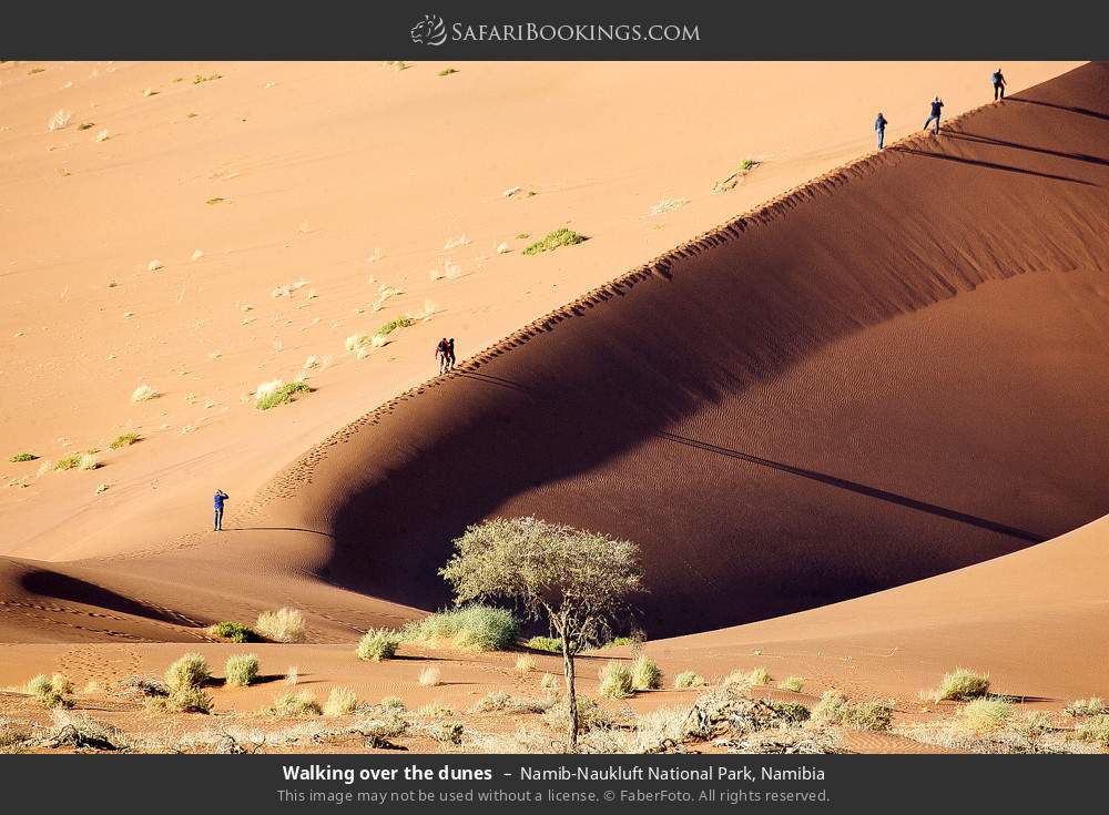 Namibia Safari: 3-Day Sossusvlei Guided Safari to Go
