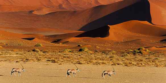 Namibia Weather & Climate (+ Climate Chart)