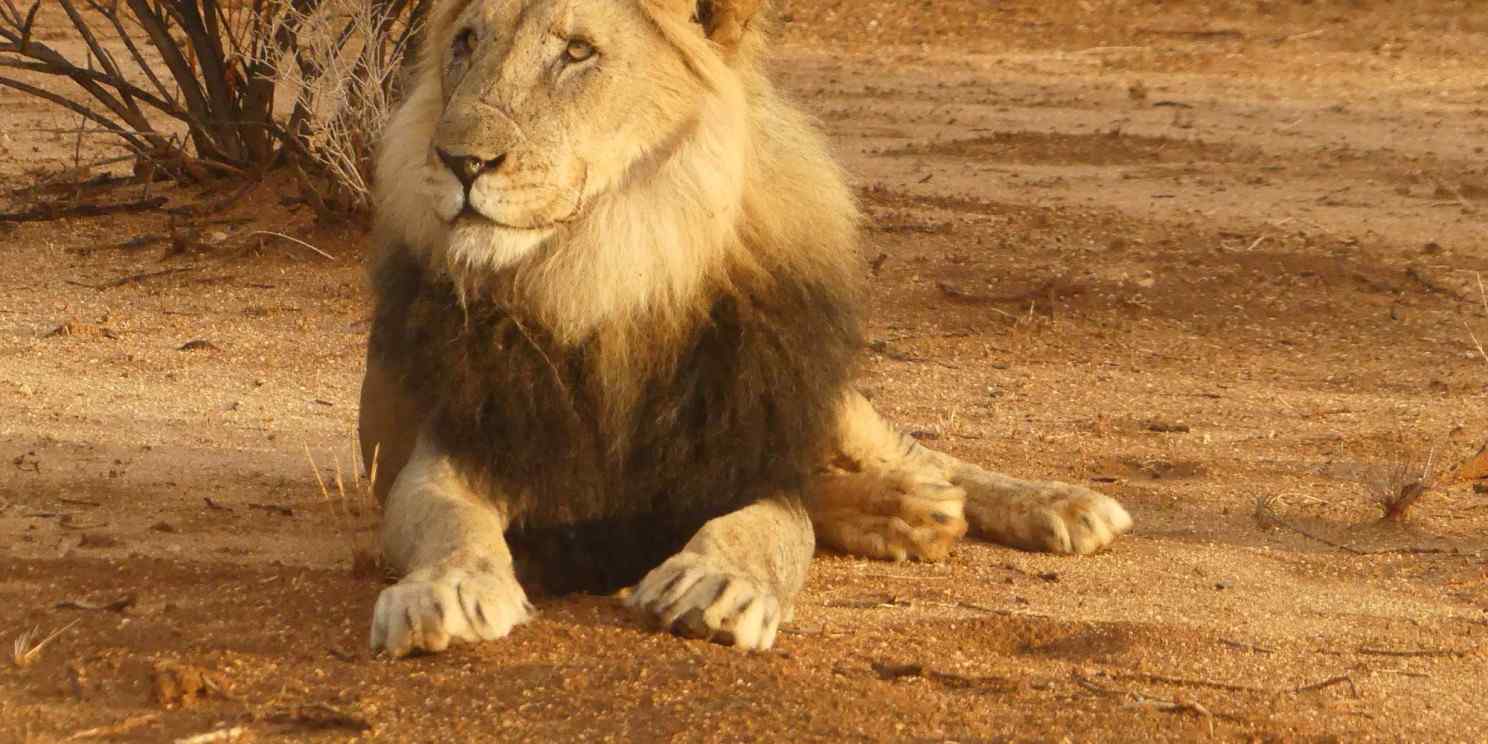 Erindi Private Game Reserve – Best Time To Visit, Wildlife & More!