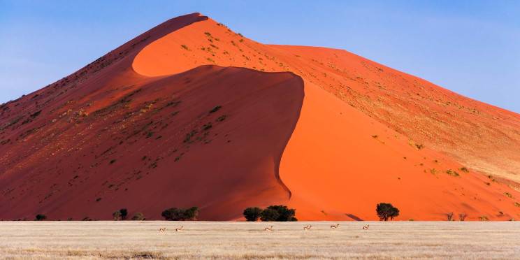 Namibia Travel Guide – Parks, Best Time, Reviews & More!