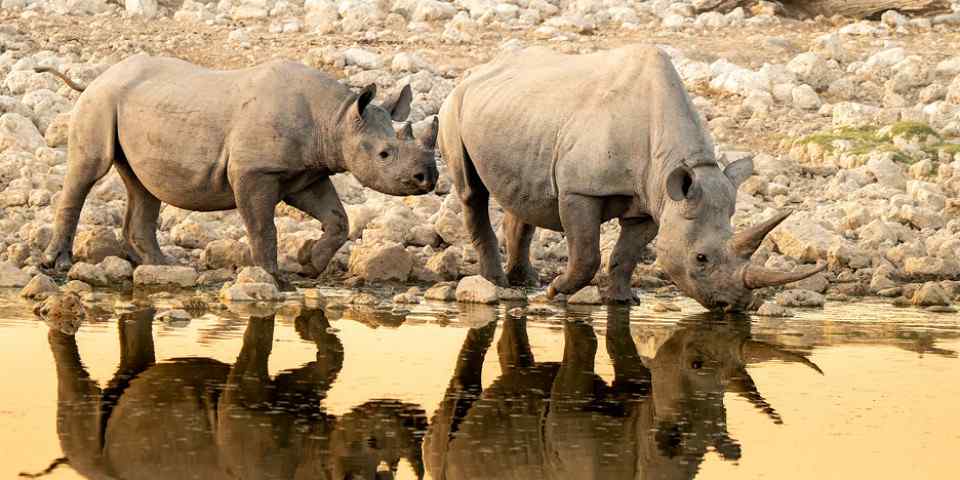 Namibia Map – Detailed Map of Namibia national parks
