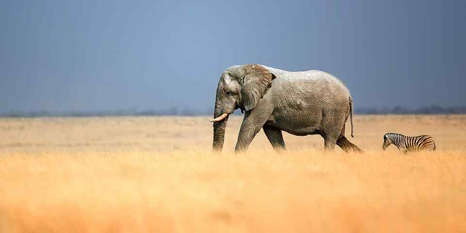 Damaraland Map – Detailed Map of Damaraland