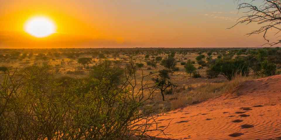 Namibia Map – Detailed Map of Namibia National Parks