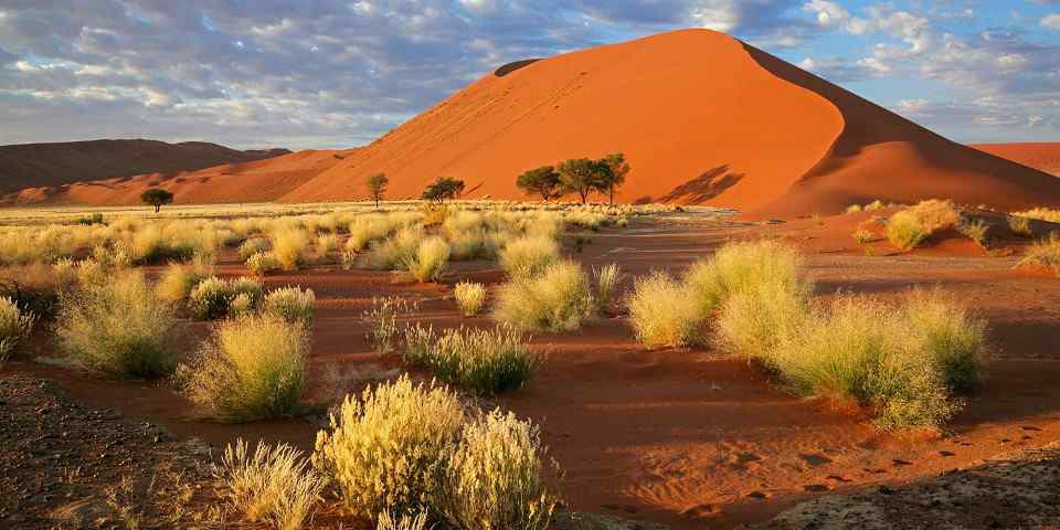 Namibia Map – Detailed map of Namibia national parks
