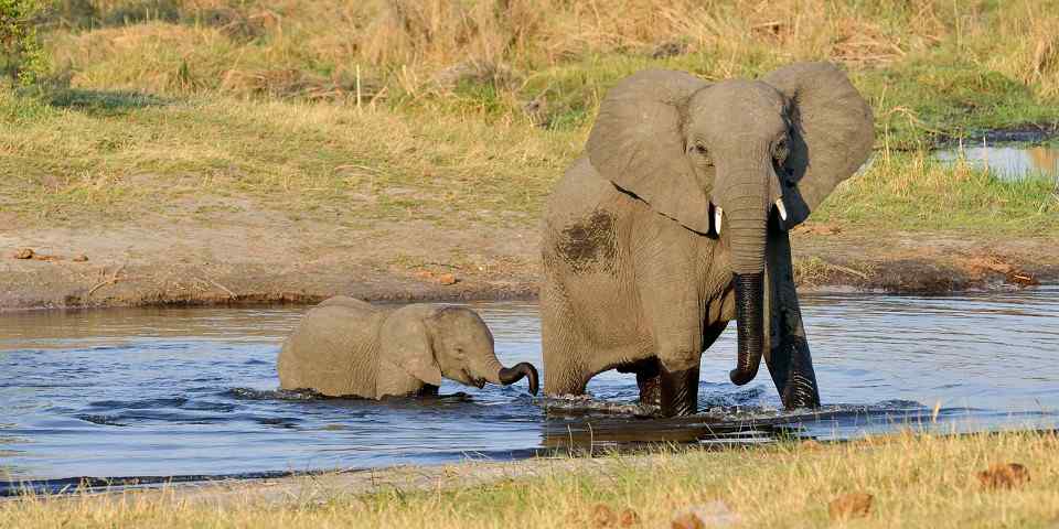 Zambezi Region (Caprivi Strip) – Travel Guide, Map & More!