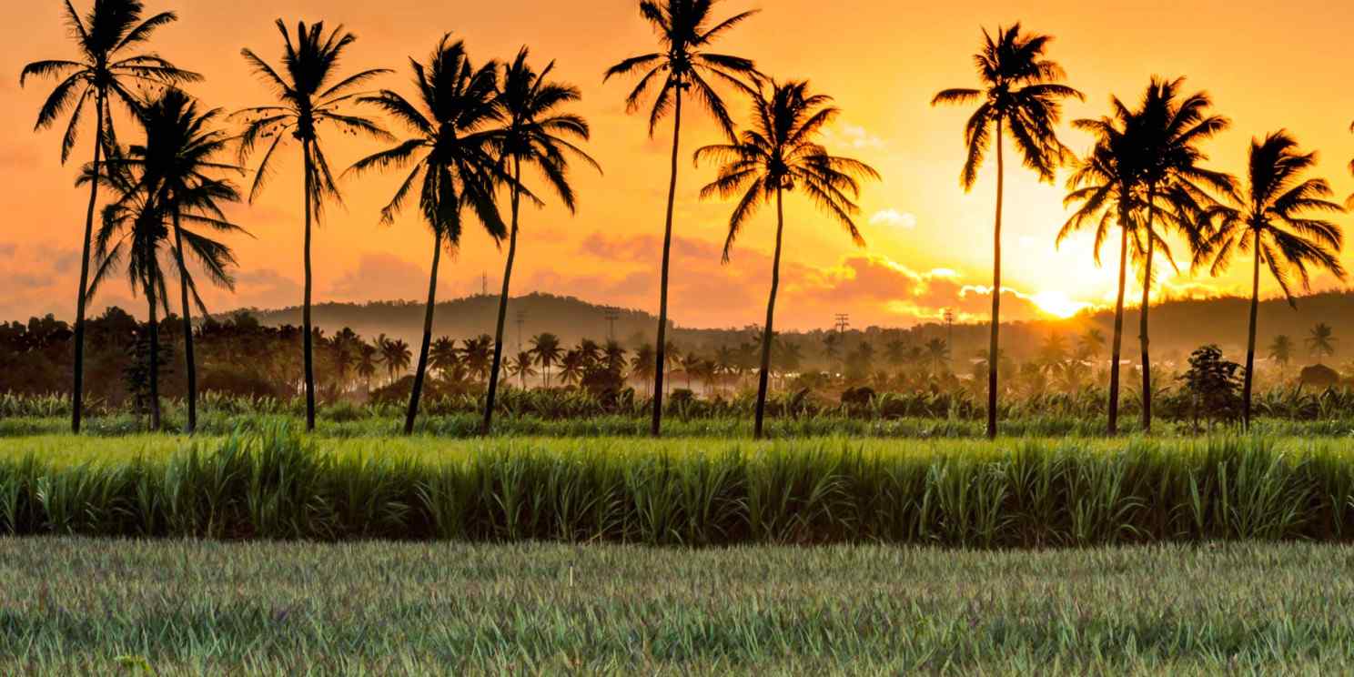 Best Time To Visit Réunion (Month by Month)