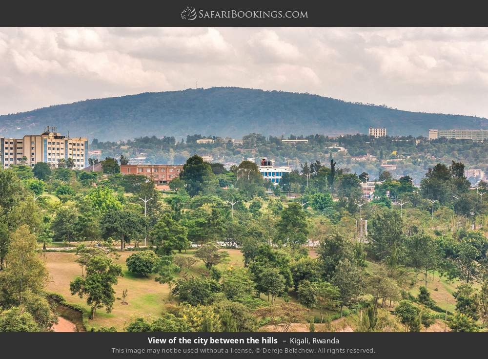 Rwanda Safari: ½-Day Kigali Nightlife Experience