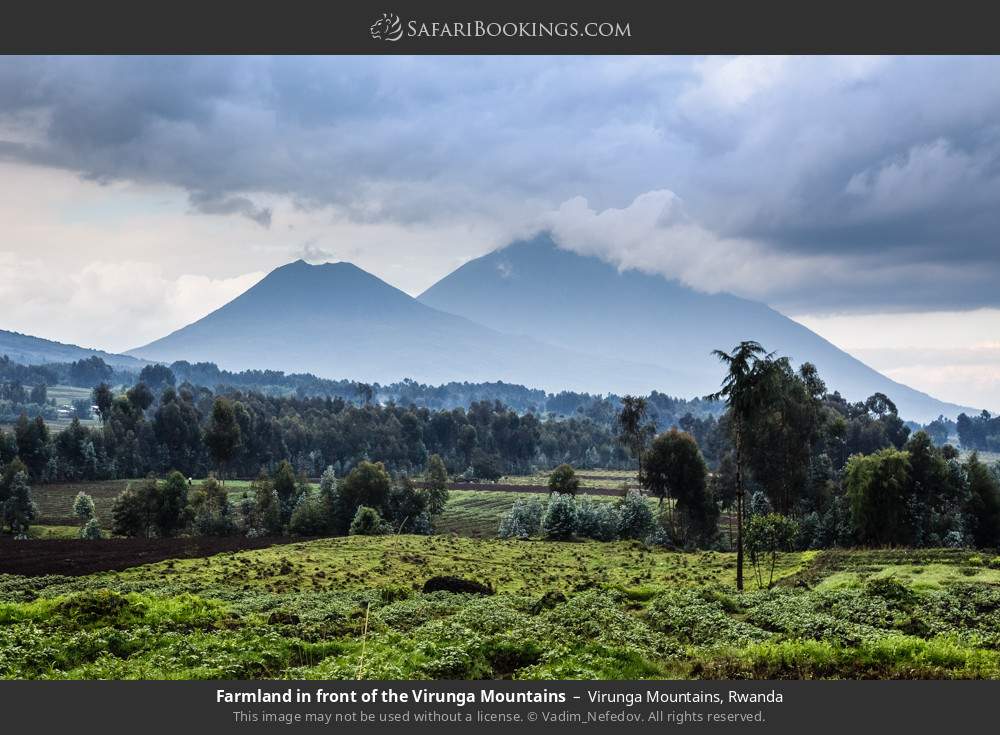 Uganda Safari: 1-Day Mount Gahinga Trekking, Hiking & Climbing Trip