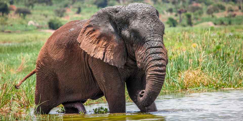 Rwanda National Parks & Game Reserves (A-Z List)