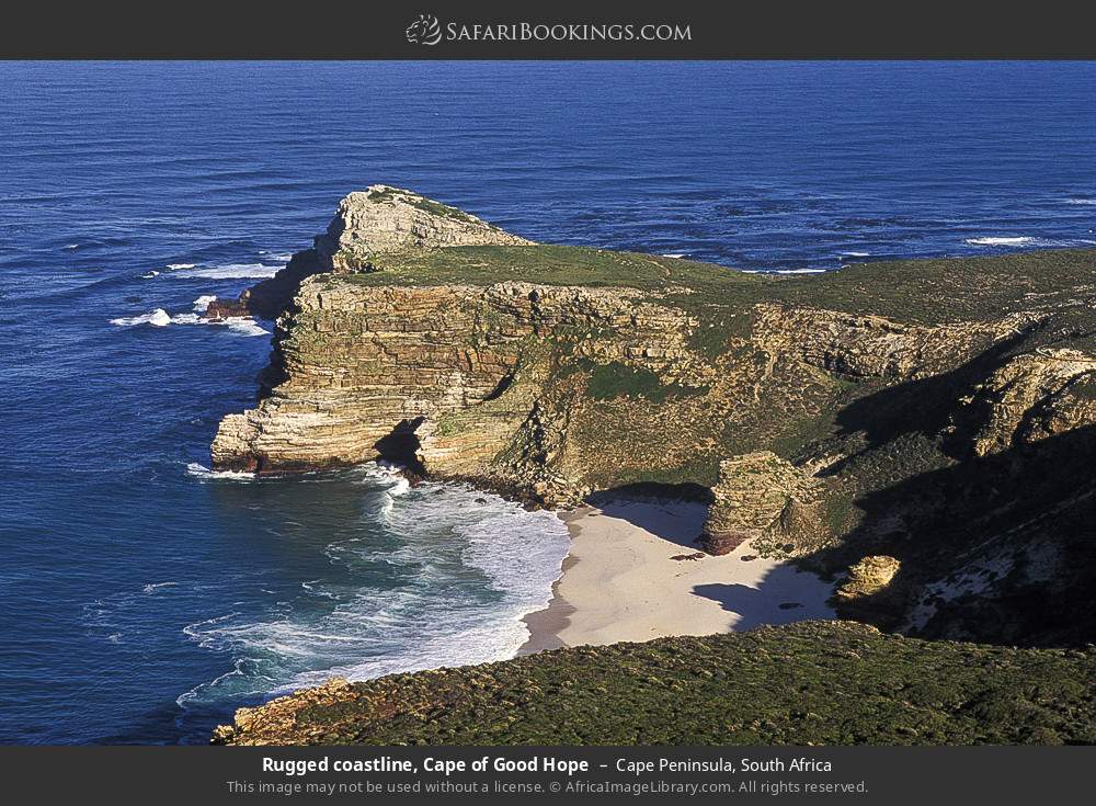 South Africa Safari: 1-Day Cape Peninsula Tour