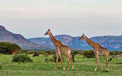 Marakele National Park – Travel Guide, Map & More!