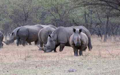 Marakele National Park – Travel Guide, Map & More!