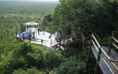 Ulusaba Photos – Images & Pictures