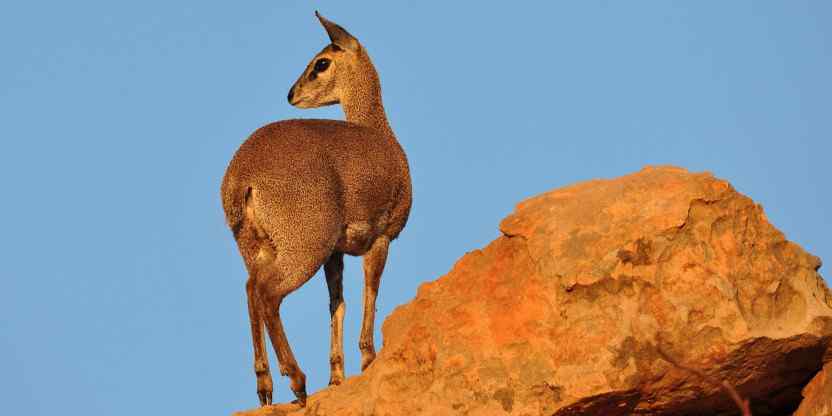 Mapungubwe Map – Detailed Map of Mapungubwe National Park