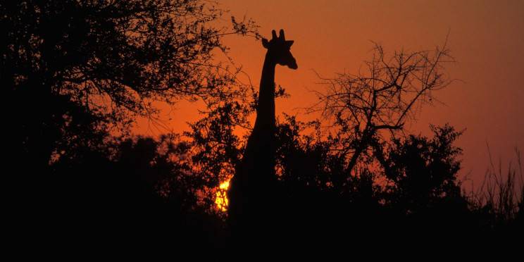 Weenen Photos – Images & pictures