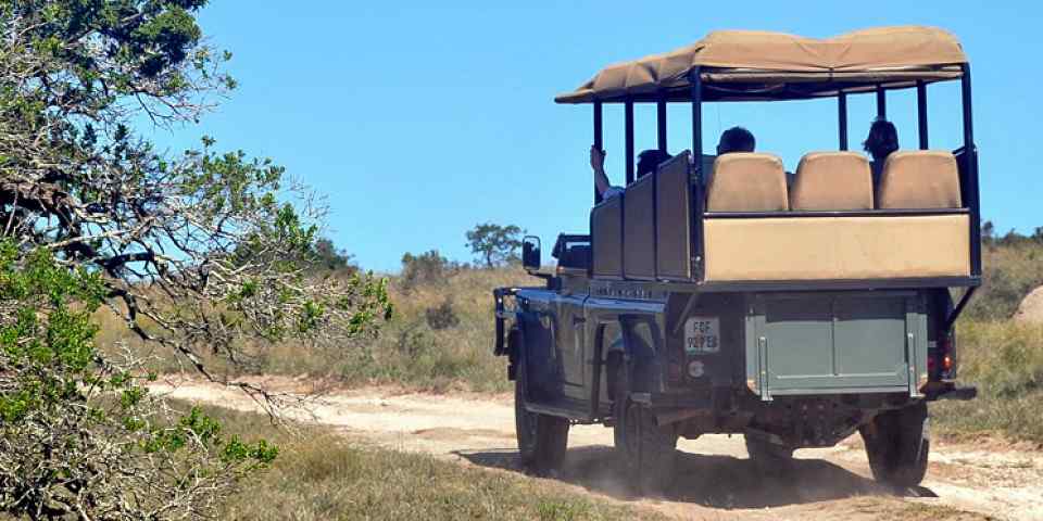 Top 6 Best Private Game Reserves Bordering Kruger National Park ...