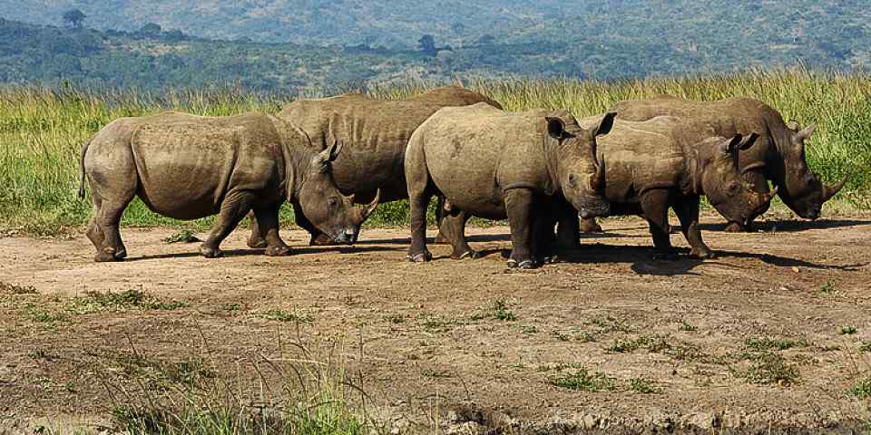 Hluhluwe-iMfolozi Map – Detailed Map of Hluhluwe-iMfolozi Game Reserve