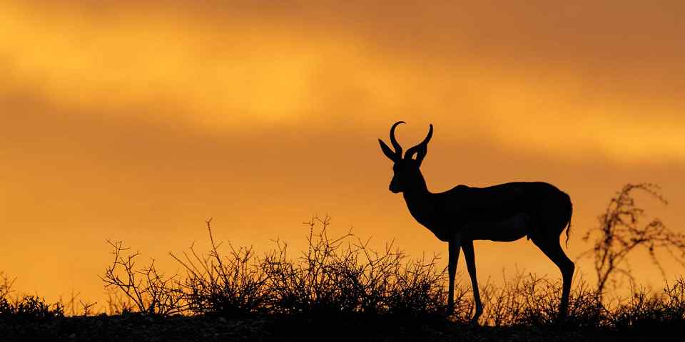 Chobe Map – Detailed Map of Chobe National Park