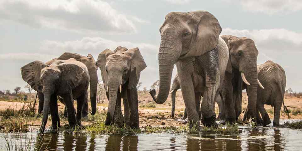 Marakele National Park – Travel Guide, Map & More!