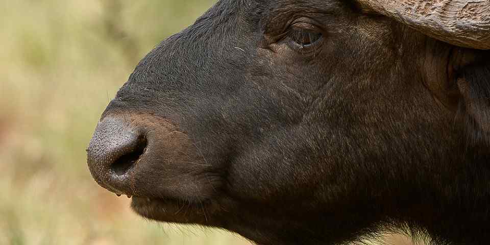 Addo Elephant Map – Detailed Map of Addo Elephant National Park