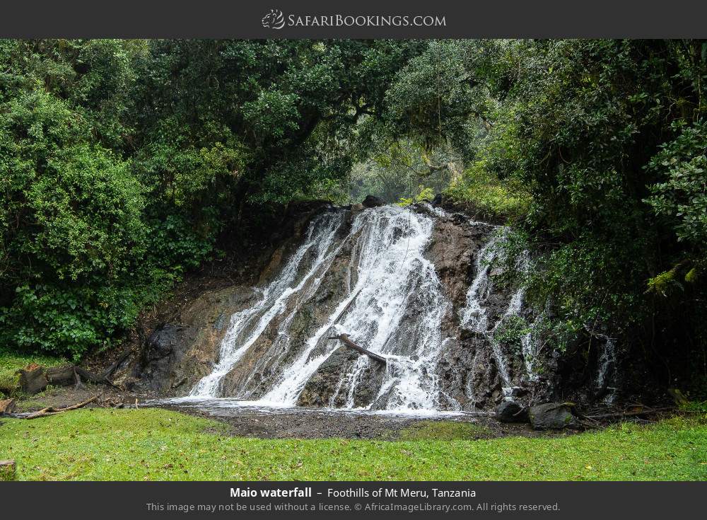 Tanzania Safari: 3-Day Materuni Waterfall Chemka Hot Springs & Lake Eyasi