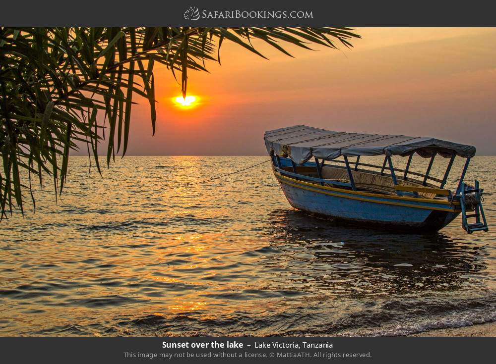 Uganda Safari: 2-Day White Water Rafting, Boat Cruise on River Nile