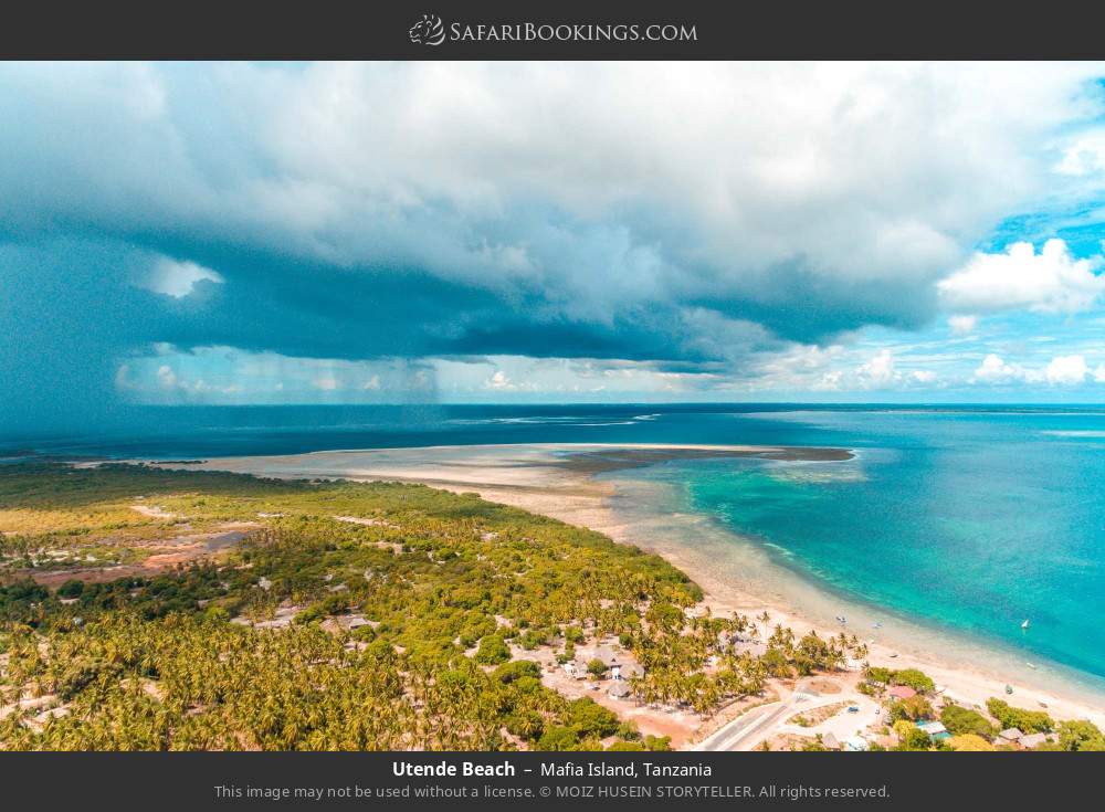 Tanzania Safari: 10-Day Exclusive Safari and Zanzibar Beach Holiday