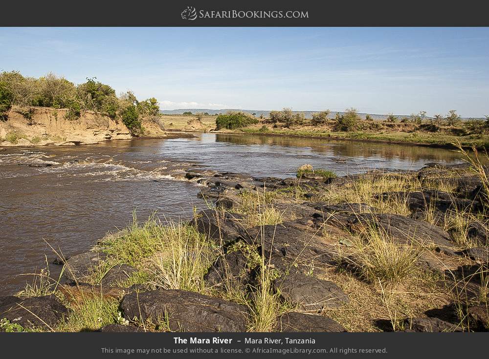 Kenya Safari: 7-Day Adventure in a Pop up Mini Van