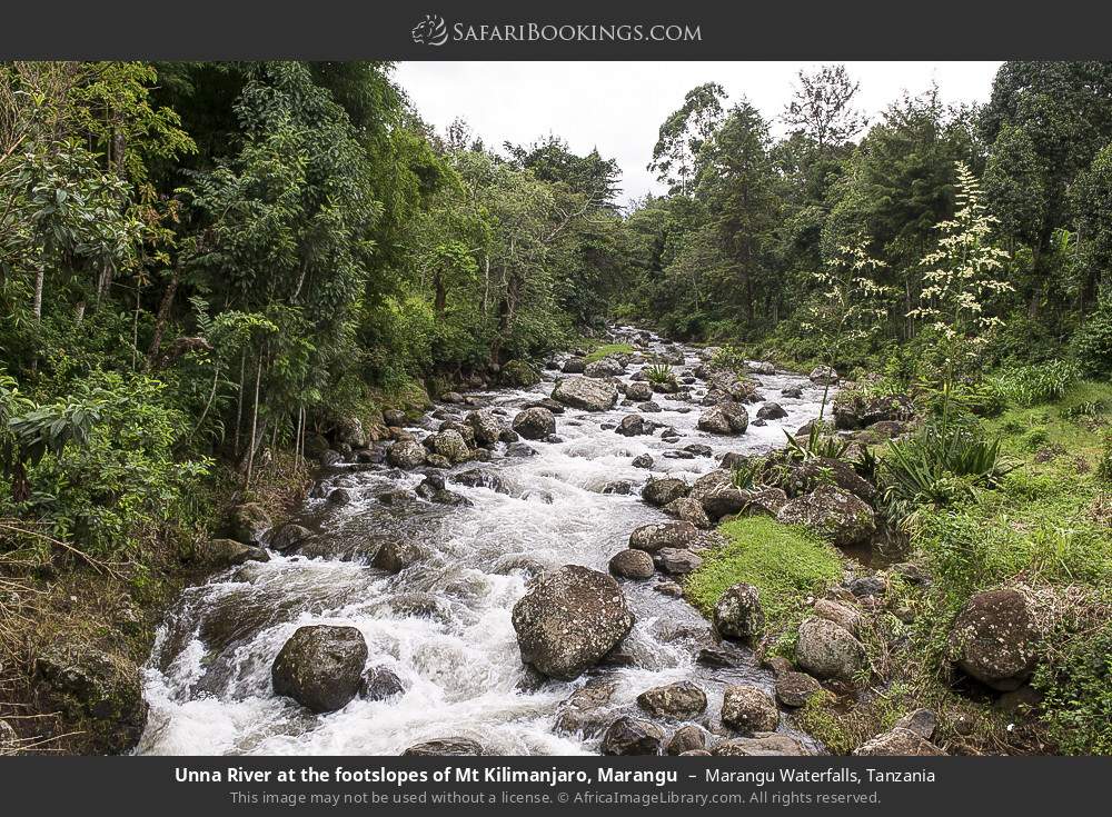 Tanzania Safari: 1-Day Materuni Waterfall /Coffee Tour- Chemka Hotspring