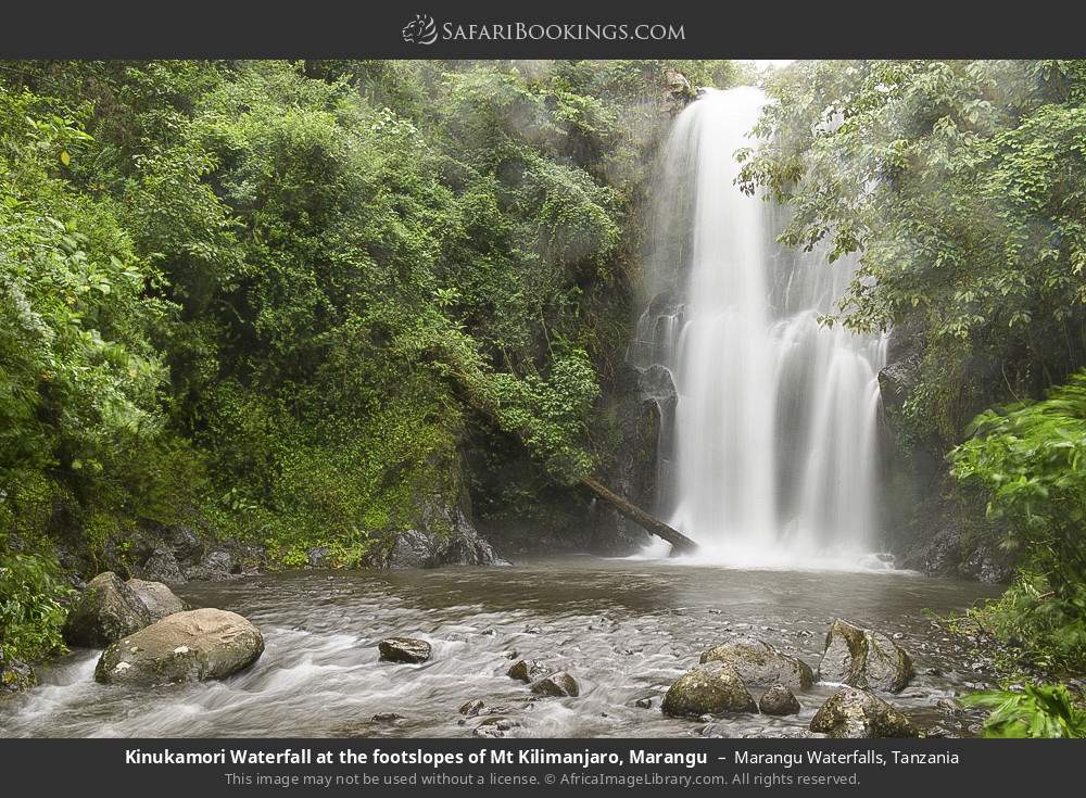 Tanzania Safari: 1-Day Materuni Waterfalls, Coffee& Kikuletwa Hot Springs