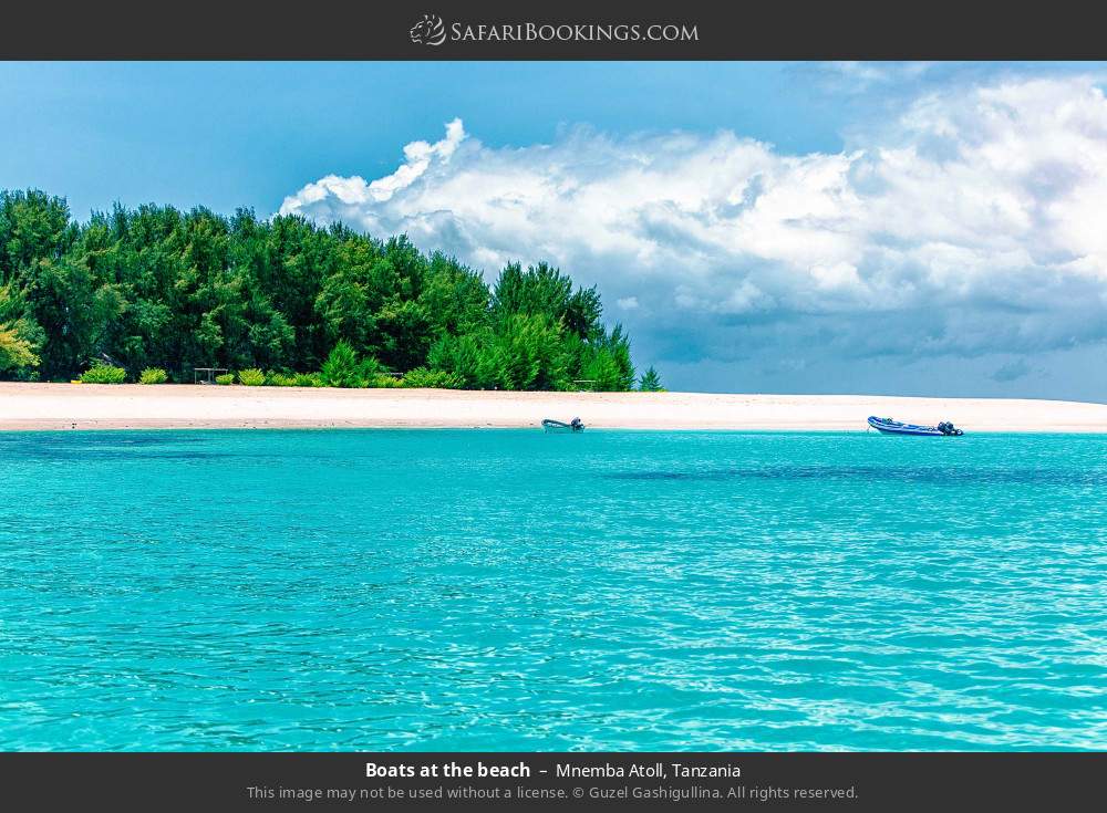 4-Day Shaba Boutique Hotel Zanzibar Flying Package