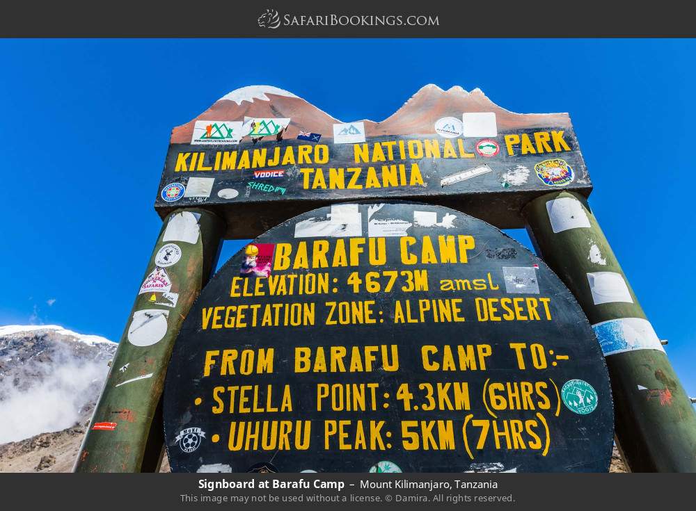 Tanzania Safari: 7-Day Rongai Route Mount Kilimanjaro Trekking