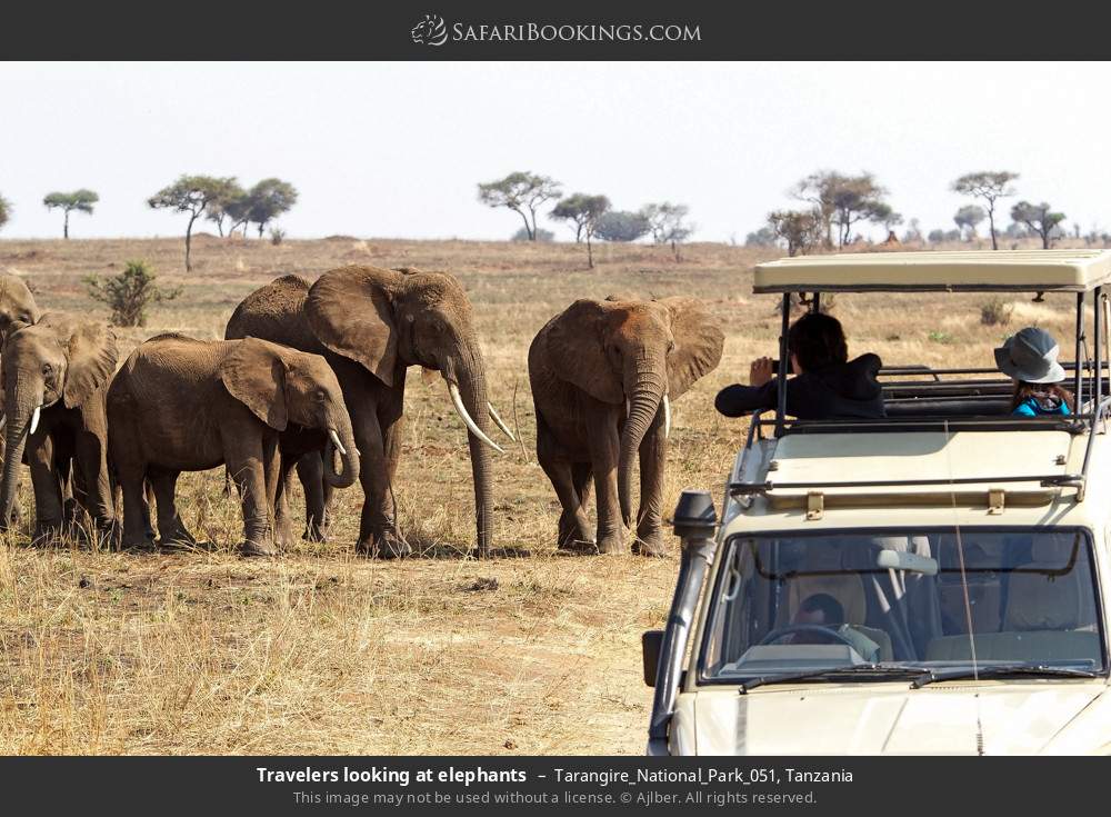 Tanzania Safari: 11-Day Mount Meru Trekking & Wildebeest Migration Safari