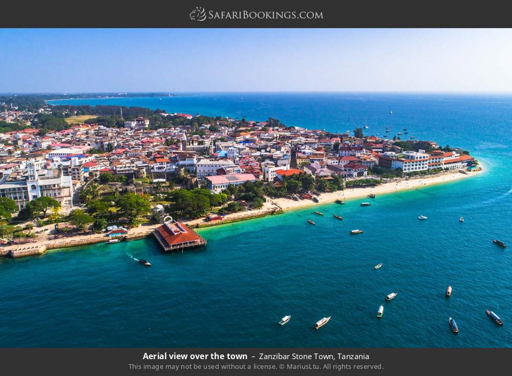 Tanzania Safari: 1-Day Must-Do Zanzibar Tour, Jozani, Spice & Stone Town