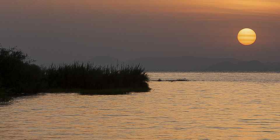 Katavi National Park – Travel Guide, Map & More!