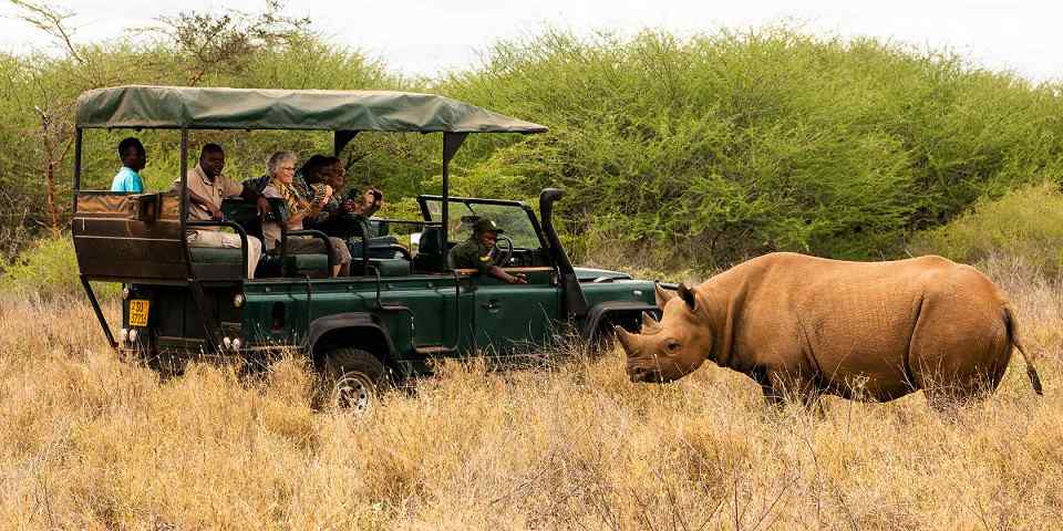 Mkomazi National Park – Travel Guide, Map & More!