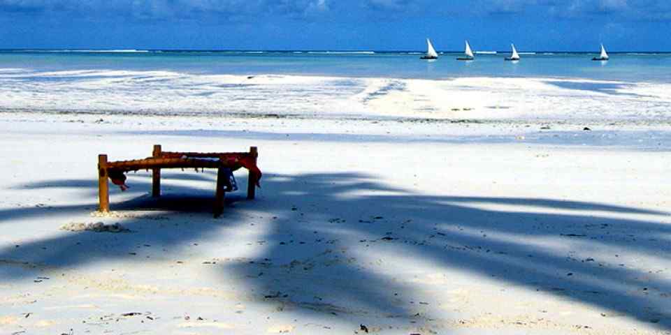 Tanzania Safari & Zanzibar Packages - Compare 631 Tours