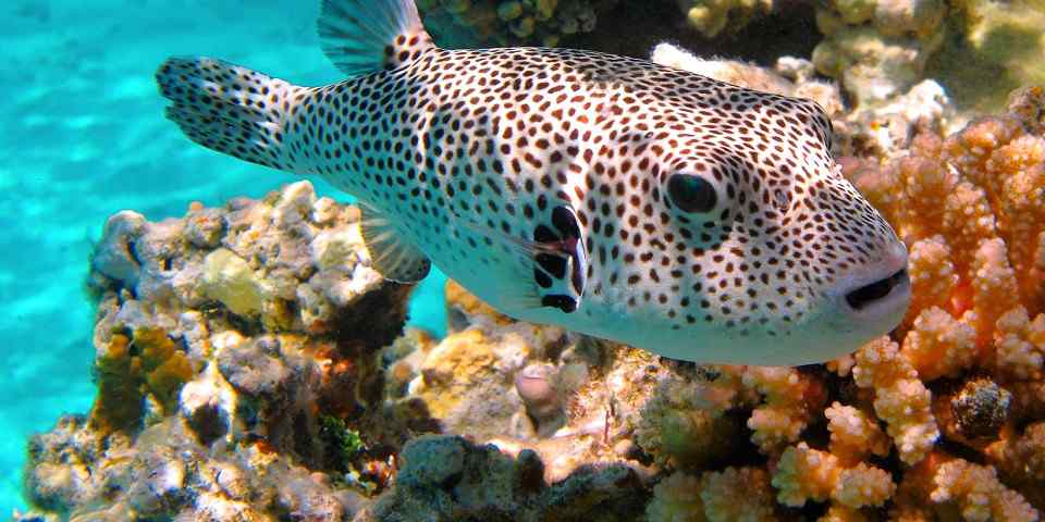 Tanzania Safari & Zanzibar Packages - Compare 631 Tours