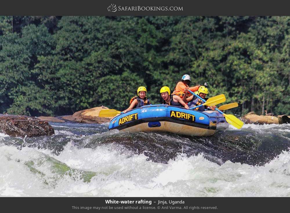 Uganda Safari: 7-Day Water Rafting and Sipi Falls Coffee Tour