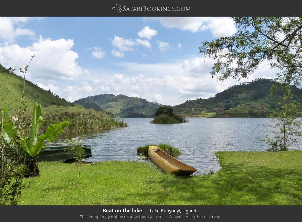 Uganda Safari: 6-Day Gorillas, Chimp, Queen Elizabeth & Lake Bunyonyi