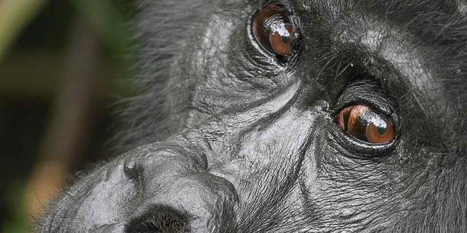 Queen Elizabeth National Park – Travel Guide, Map & More!