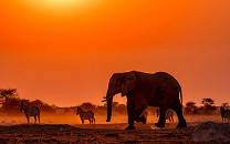 Kafue National Park – Travel Guide, Map & More!